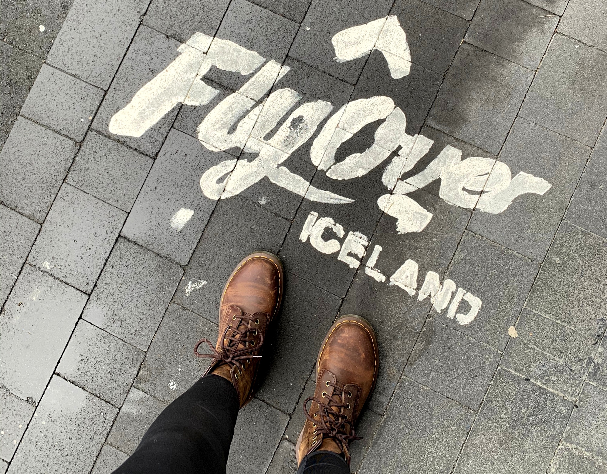 FlyOver Iceland - freizeitparkstories