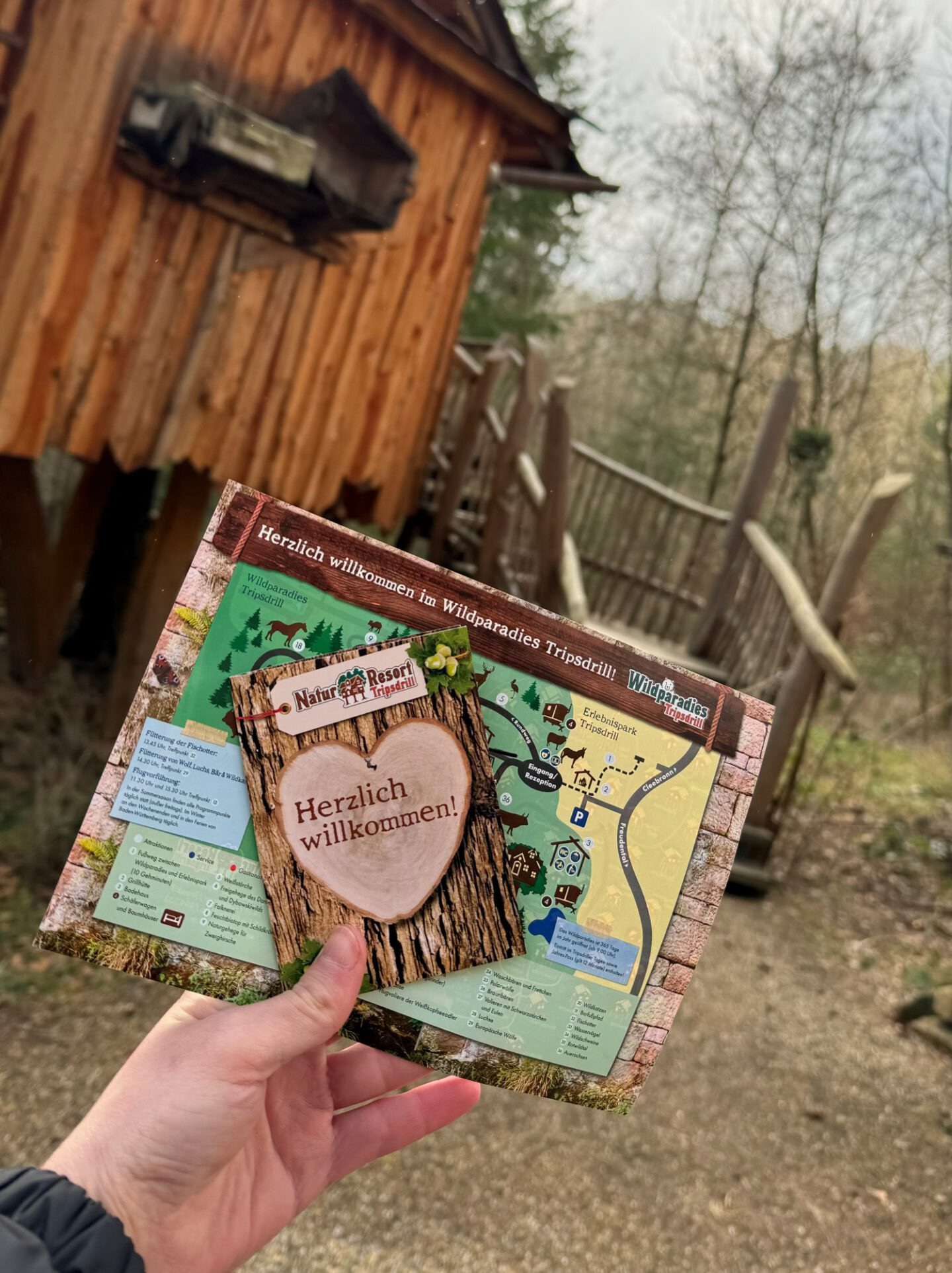 Natur-Resort Tripsdrill: Übernachten im Baumhaus - freizeitparkstories